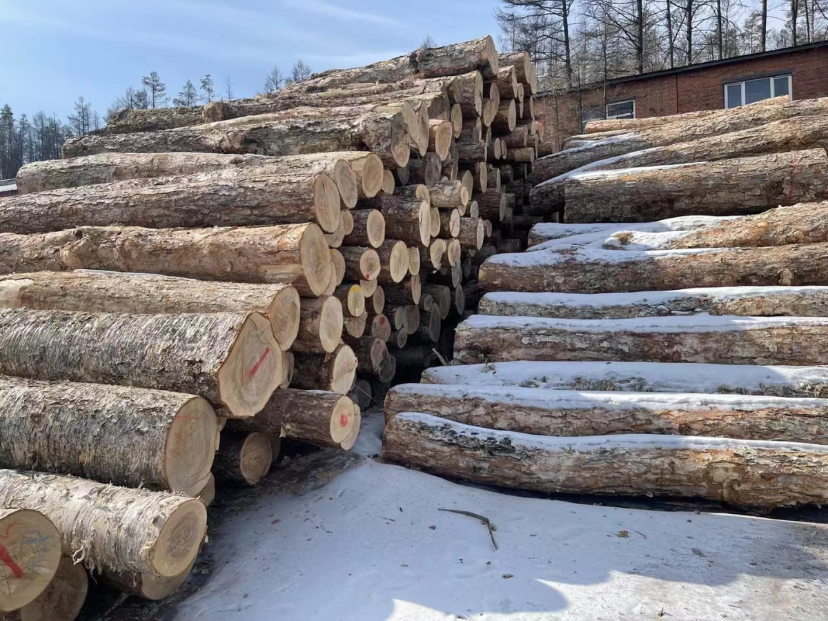 Premium Engineered Timber Flooring - GioveRetto